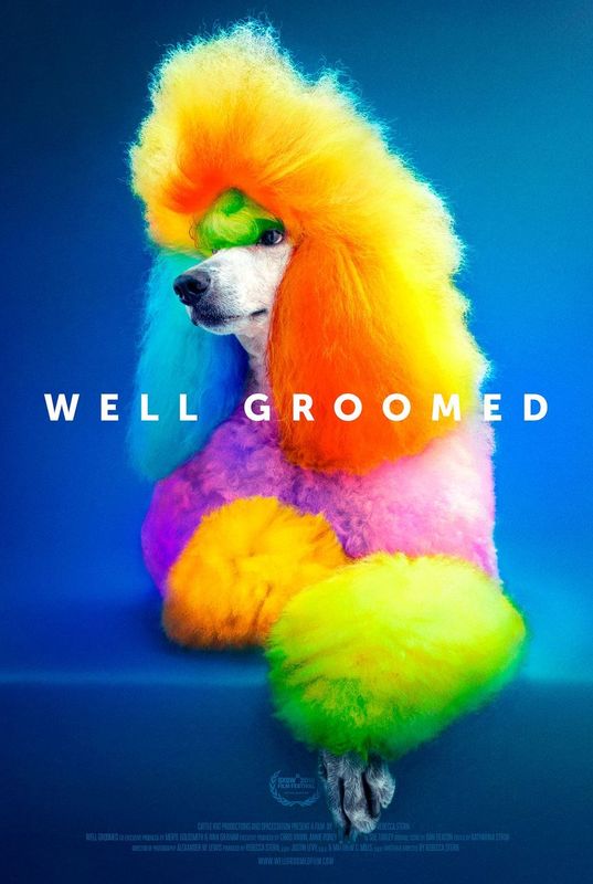 Review: Well Groomed (2019) – Way Too Beautiful Reviews